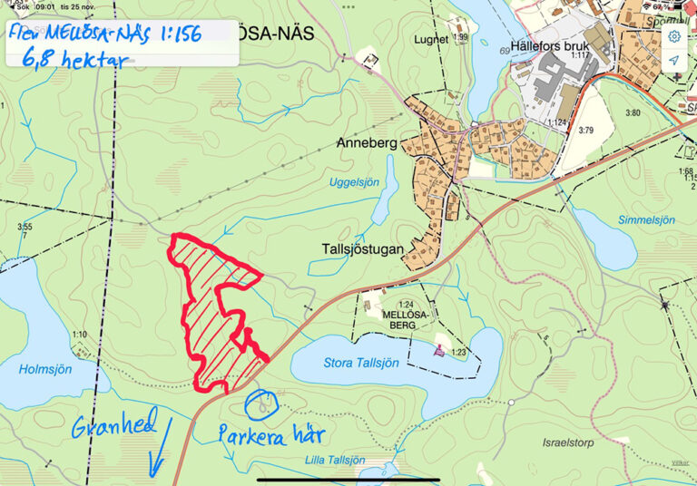 Konstaktion för skogen!!! – Naturskyddsföreningen Flen